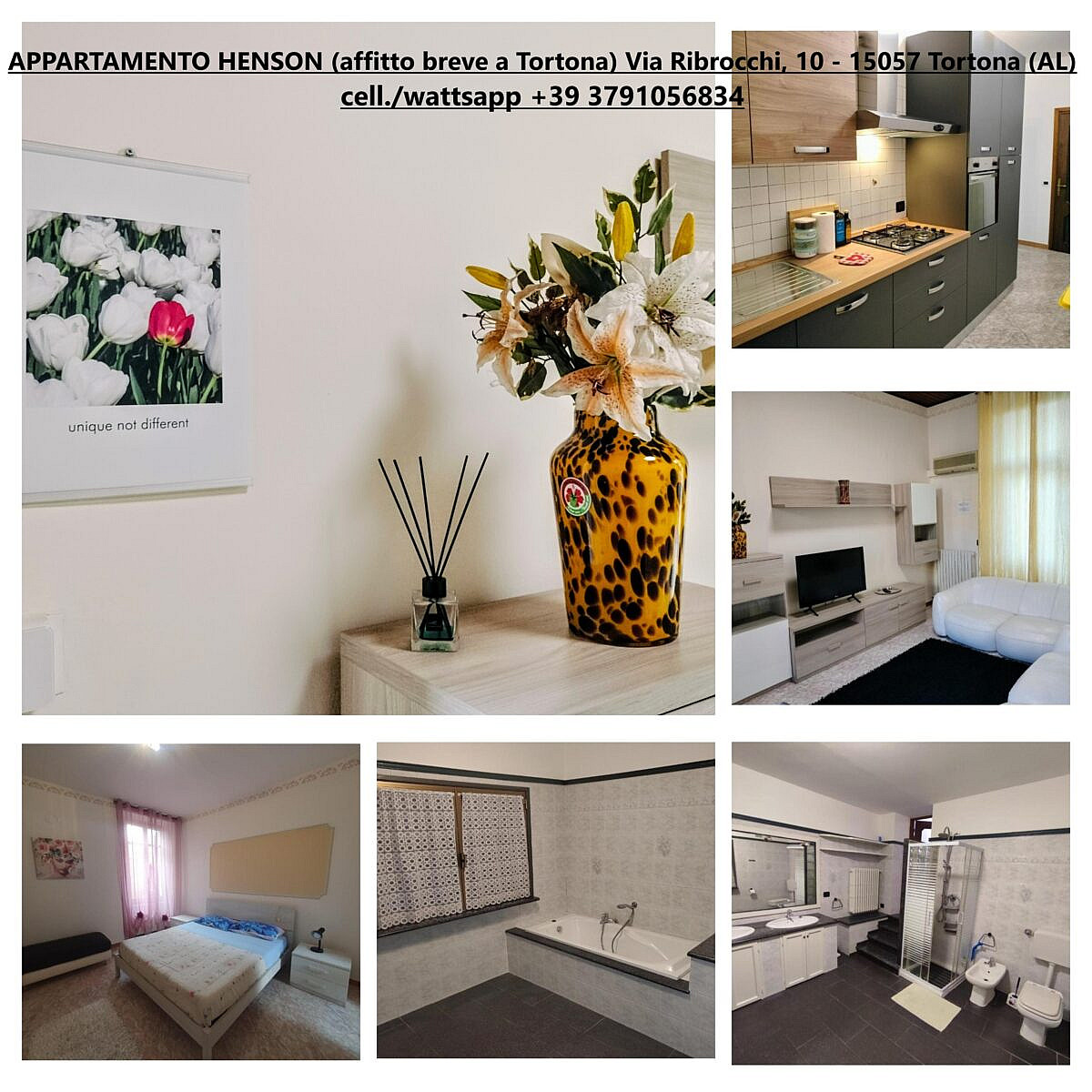 Henson Appartamento – Arcigay